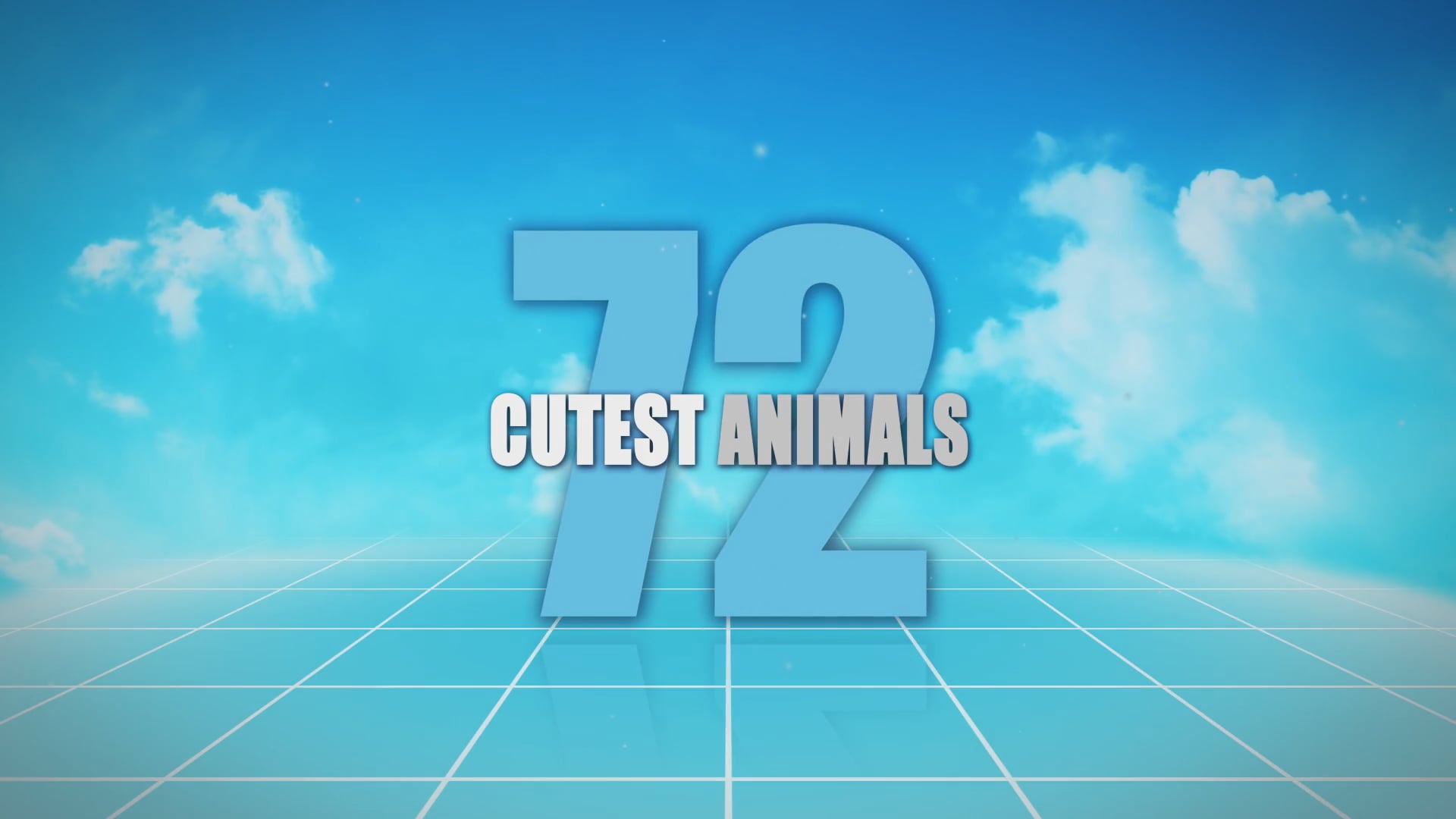 72 Cutest Animals - Official Trailer on Vimeo