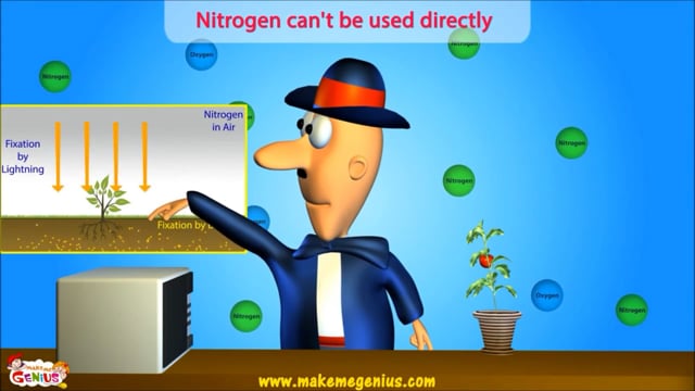 Nitrogen Cycle Animation