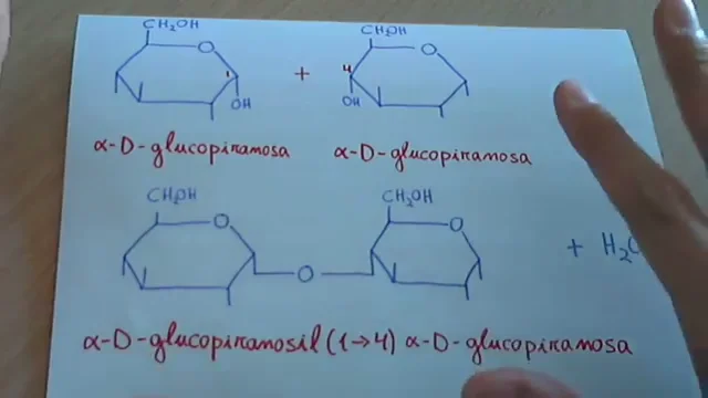 17-Maltosa como se forma y estructura (disacáridos) on Vimeo