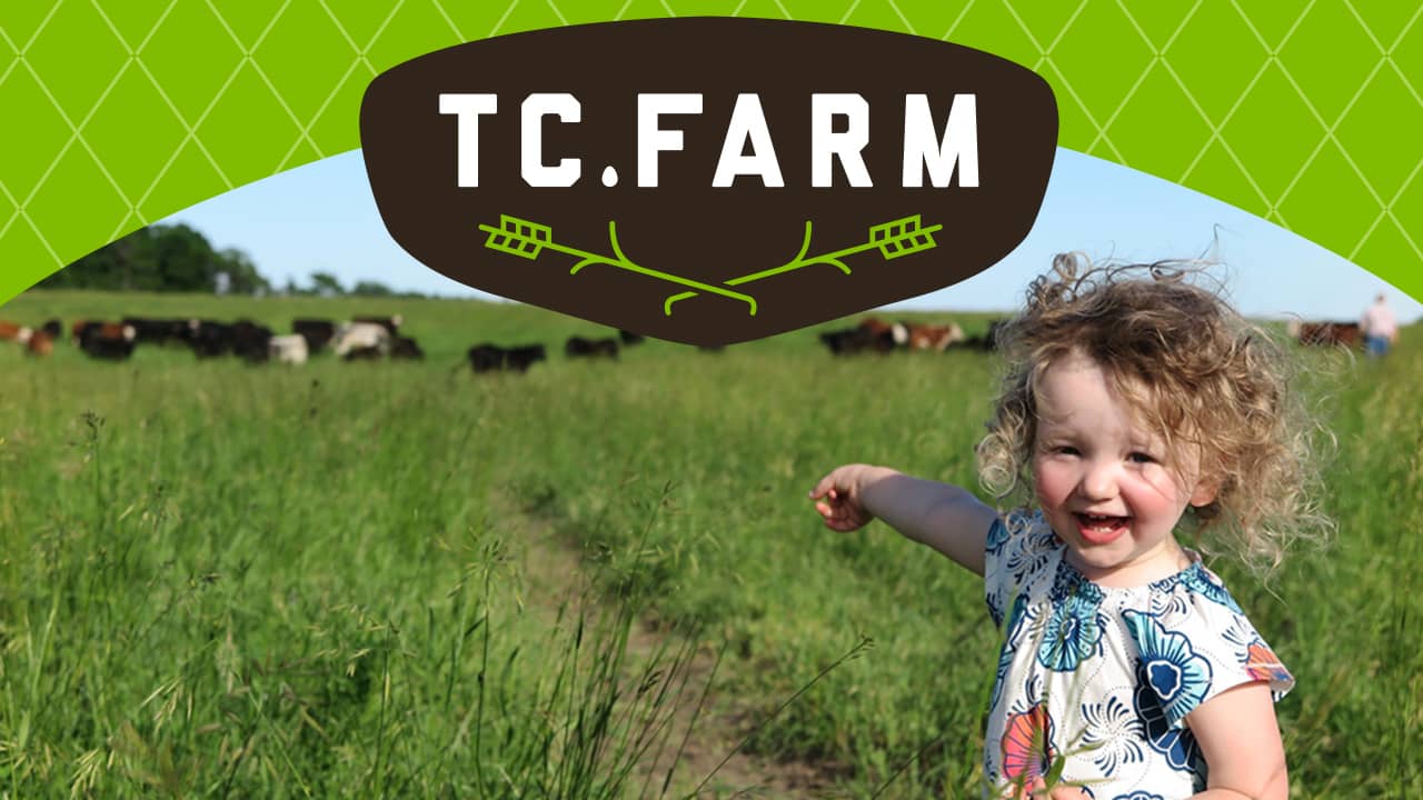 An Introduction to TC Farm on Vimeo