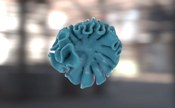Houdini - Coral Growth (scene file)