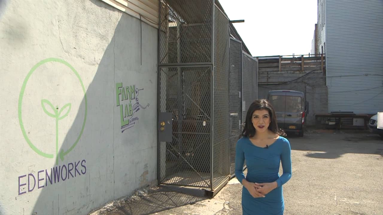 GUNJAN BANERJI STANDUPS on Vimeo