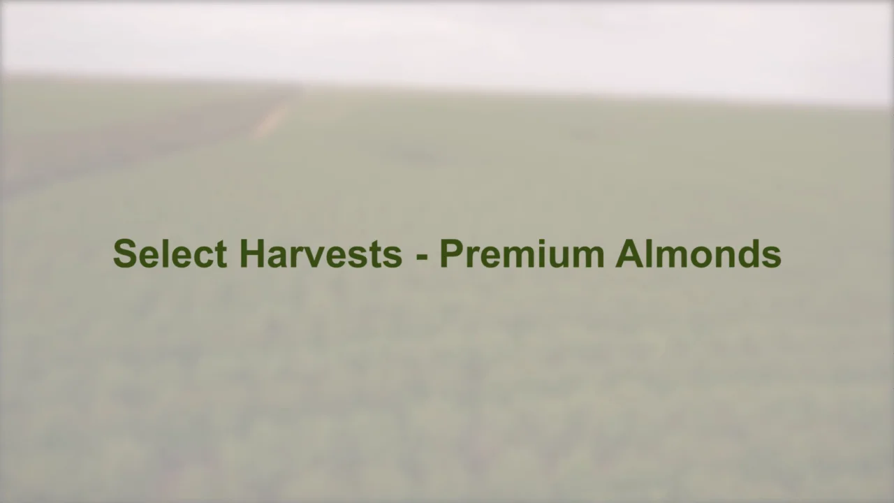 Select Harvests - Draft 1 on Vimeo