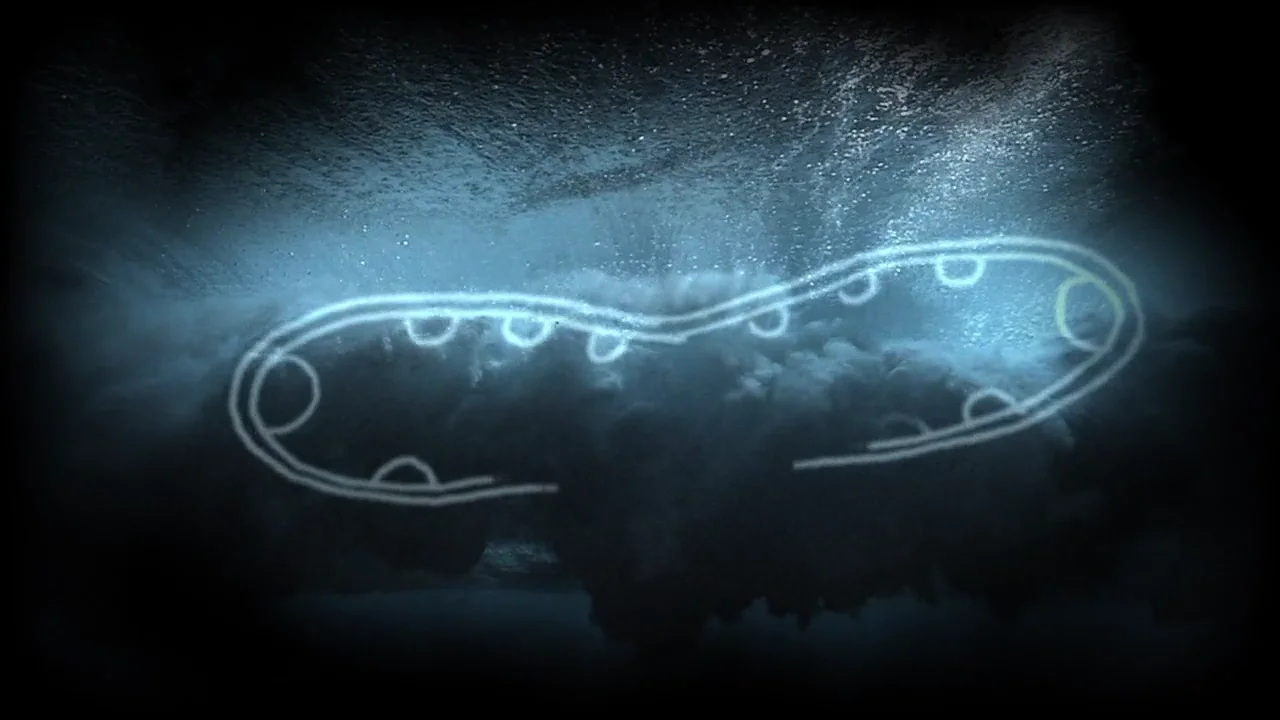 Auckland Museum - Te Korokoro o te Parata on Vimeo