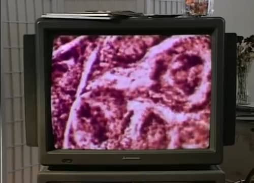 Bill Nye the Science Guy (Cells) on Vimeo