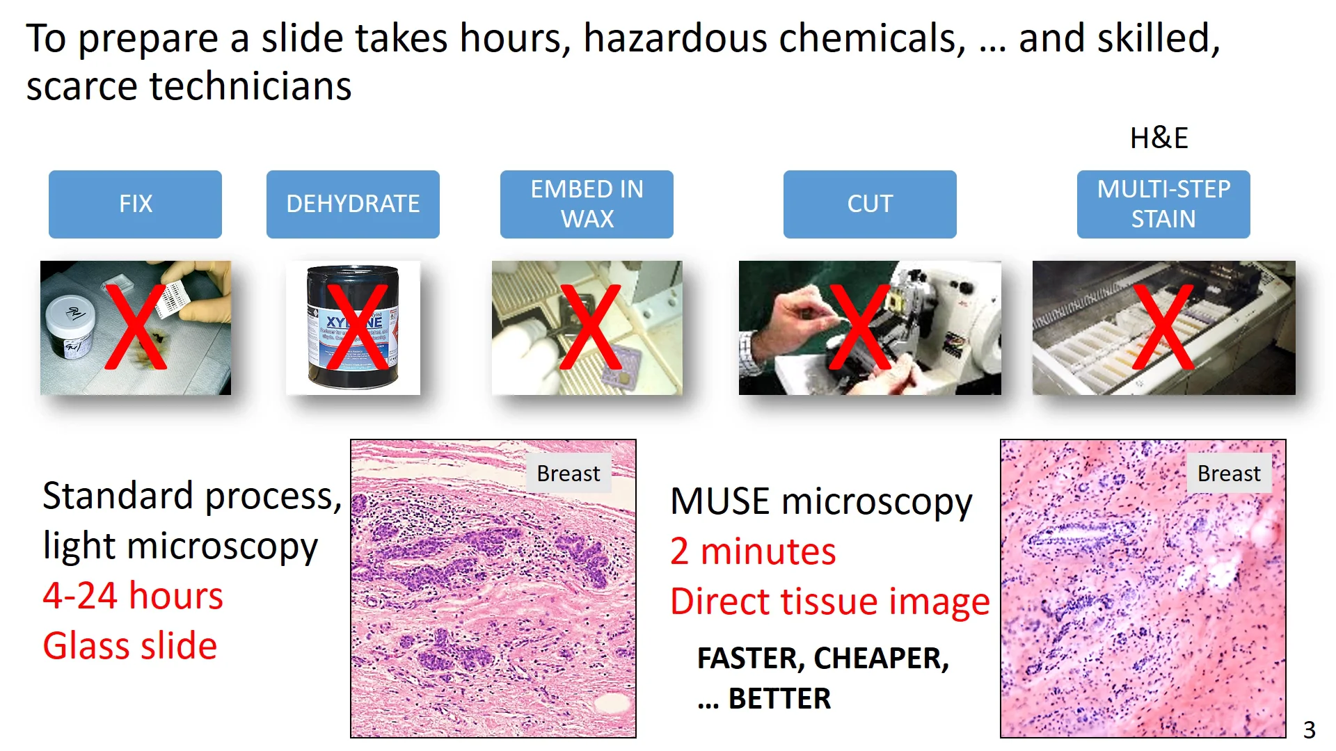 1 MUSE-Microscopy-Prospectus_Final draft 2avideo