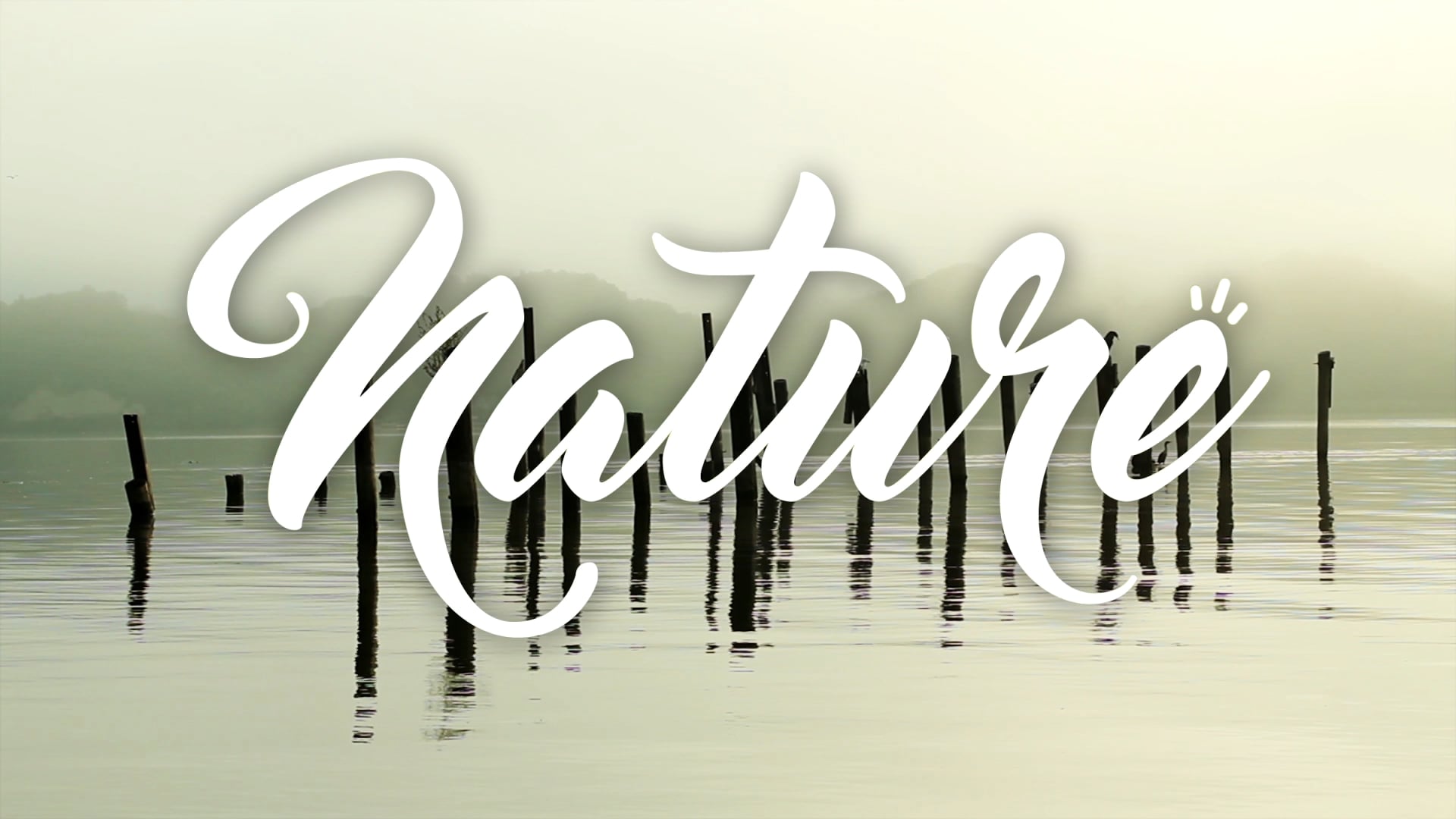 NATURE | TYPO on Vimeo