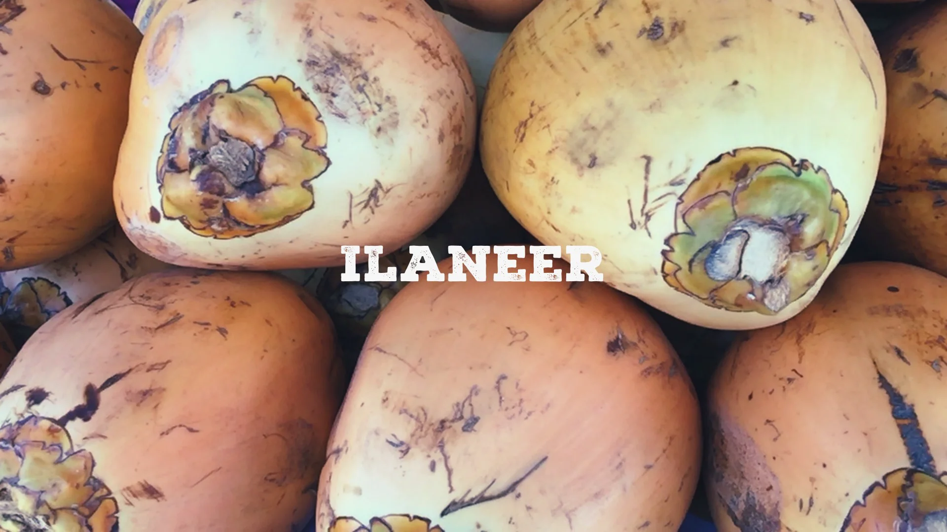 Ilaneer on Vimeo