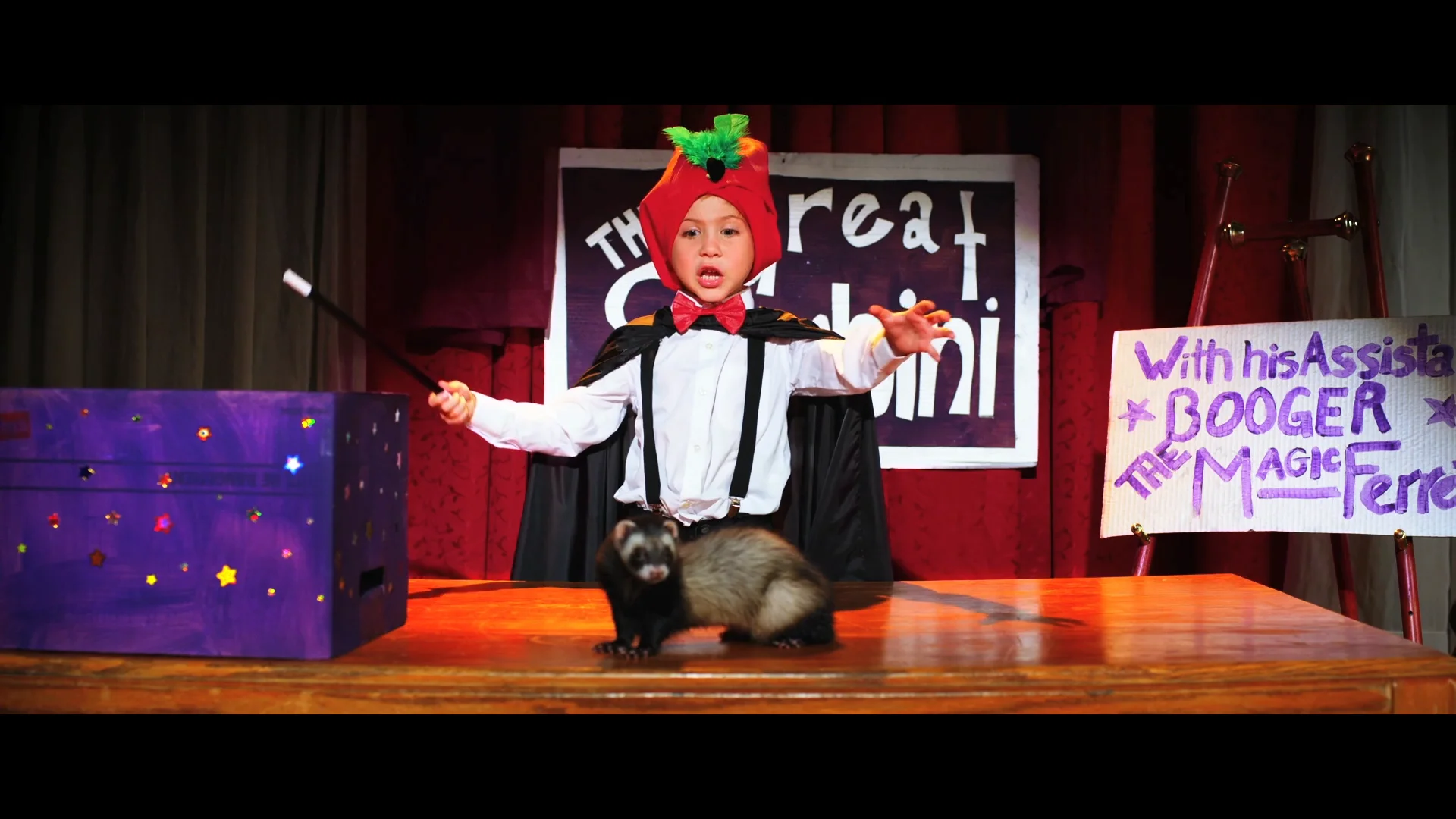 The Magic Ferret - Trailer on Vimeo