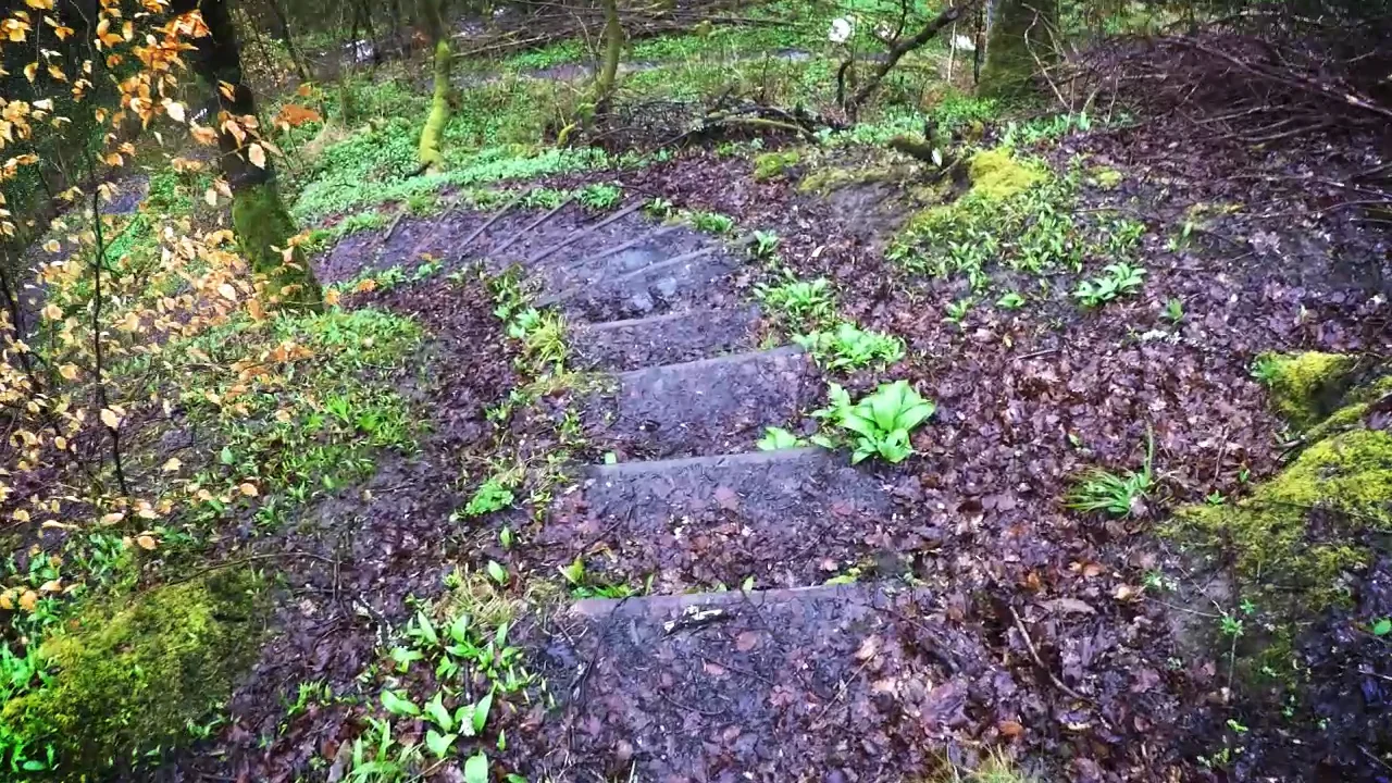 Waterfalls in Overtoun Park - Monday 4th April 2016 on Vimeo