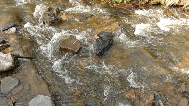 Stream River Water - Free video on Pixabay