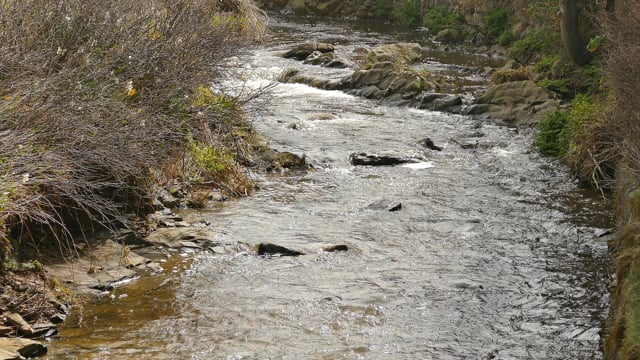 Stream, Flow, Water. Free Stock Video - Pixabay