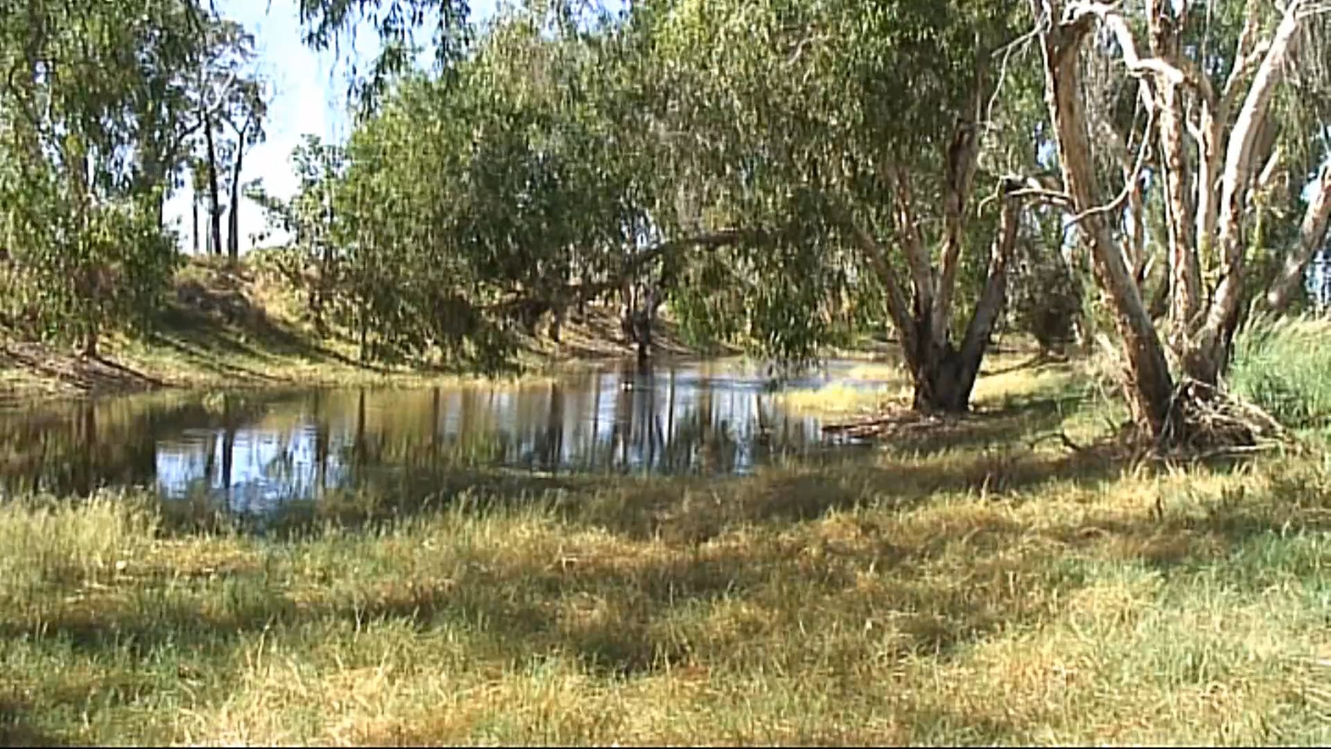 Brian Furby Series 4 Ep 7 on Vimeo