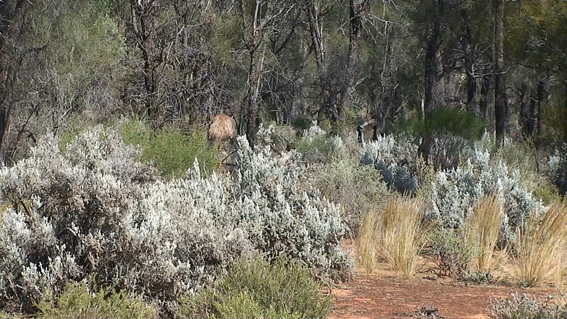 Brian Furby Series 3 Ep 6 on Vimeo