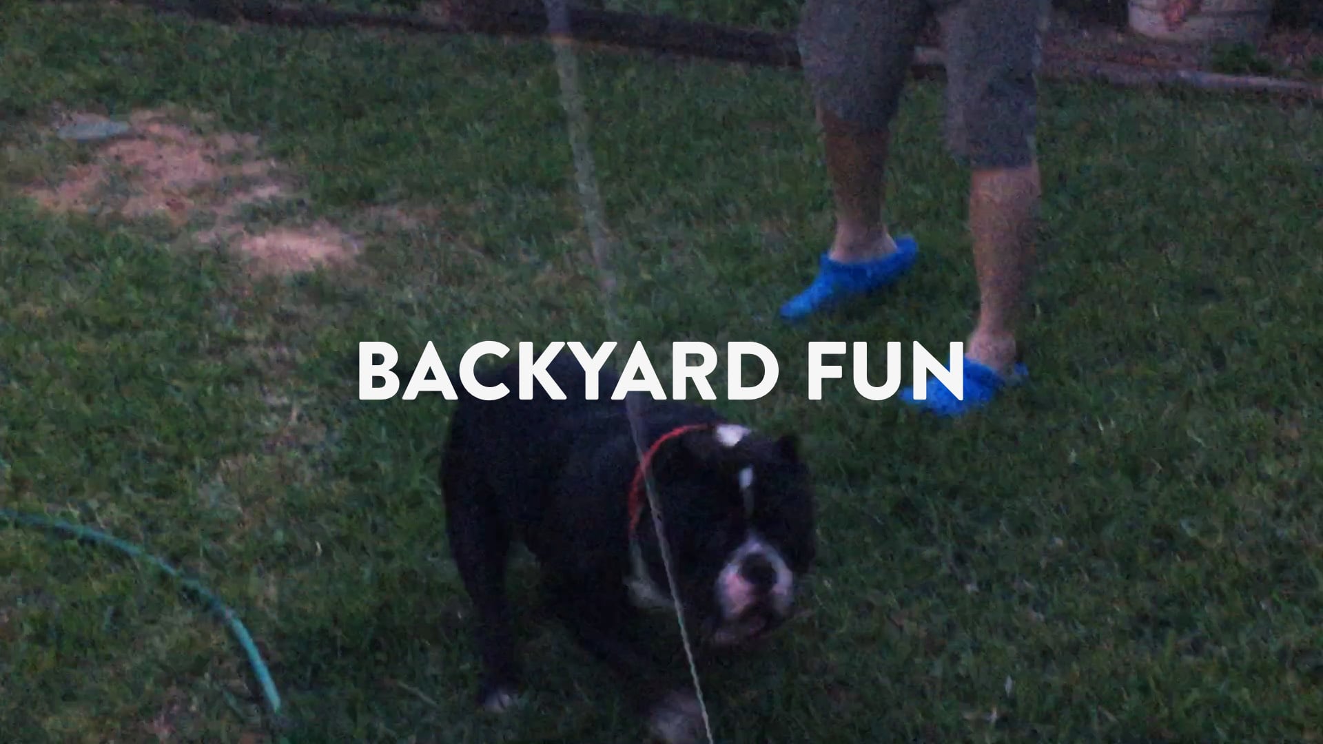 Backyard Fun on Vimeo