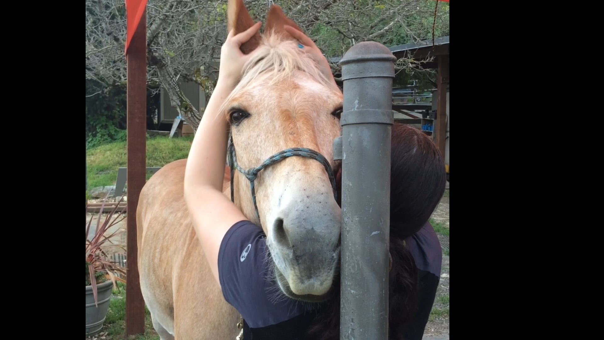 Nilla Mule Lip Twitch on Vimeo