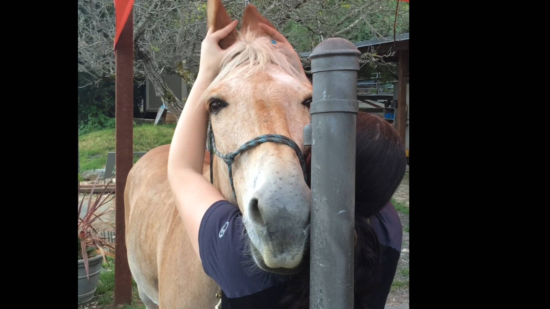 Nilla Mule Lip Twitch on Vimeo