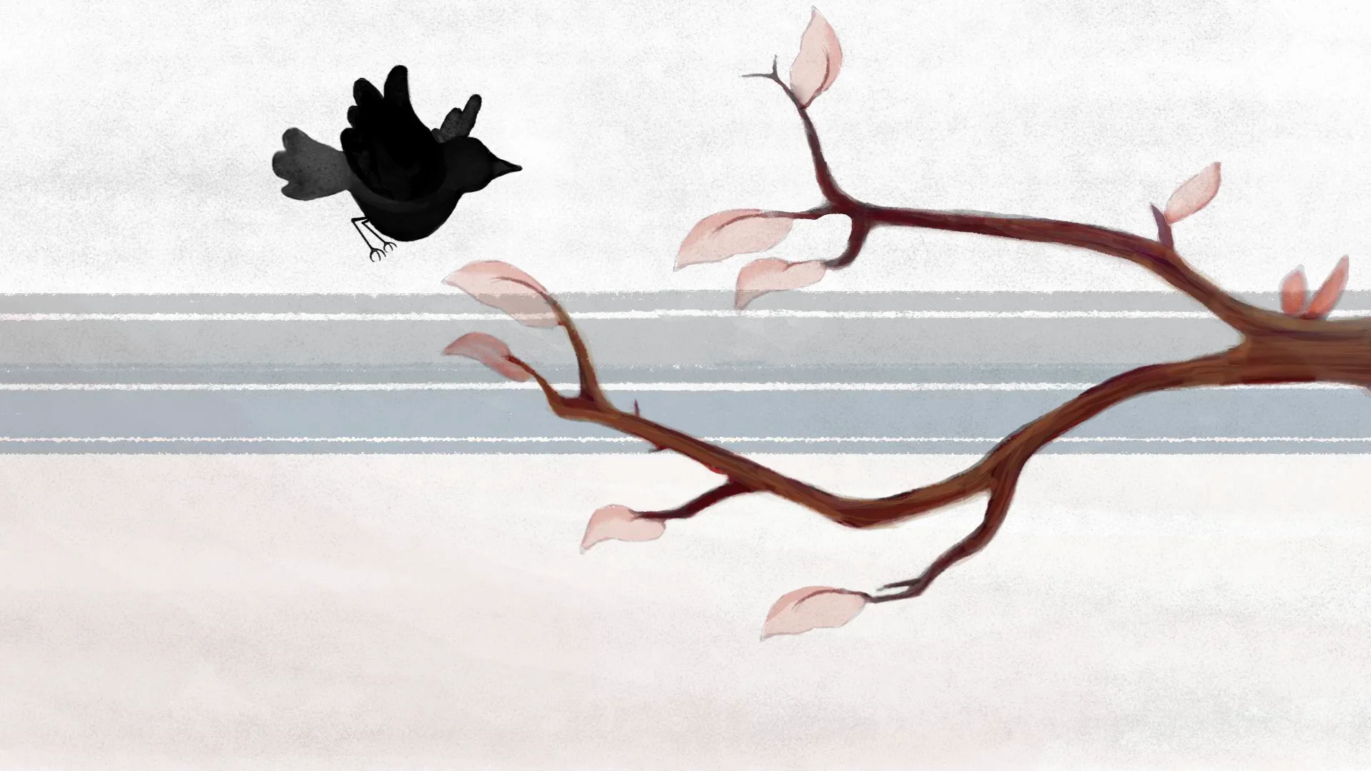Bird Flight Cycle 2D animation. on Vimeo