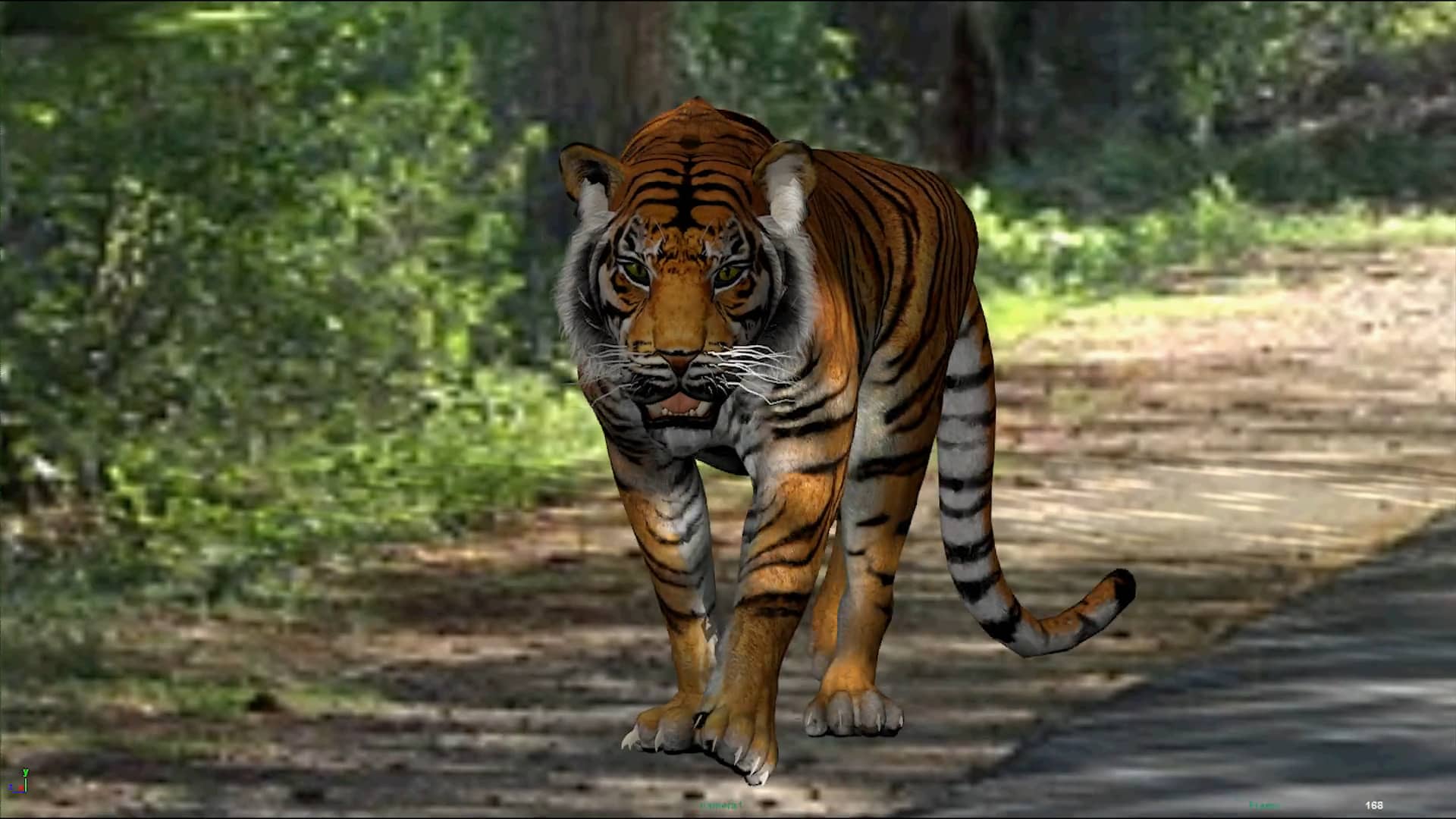 Tiger animation on Vimeo