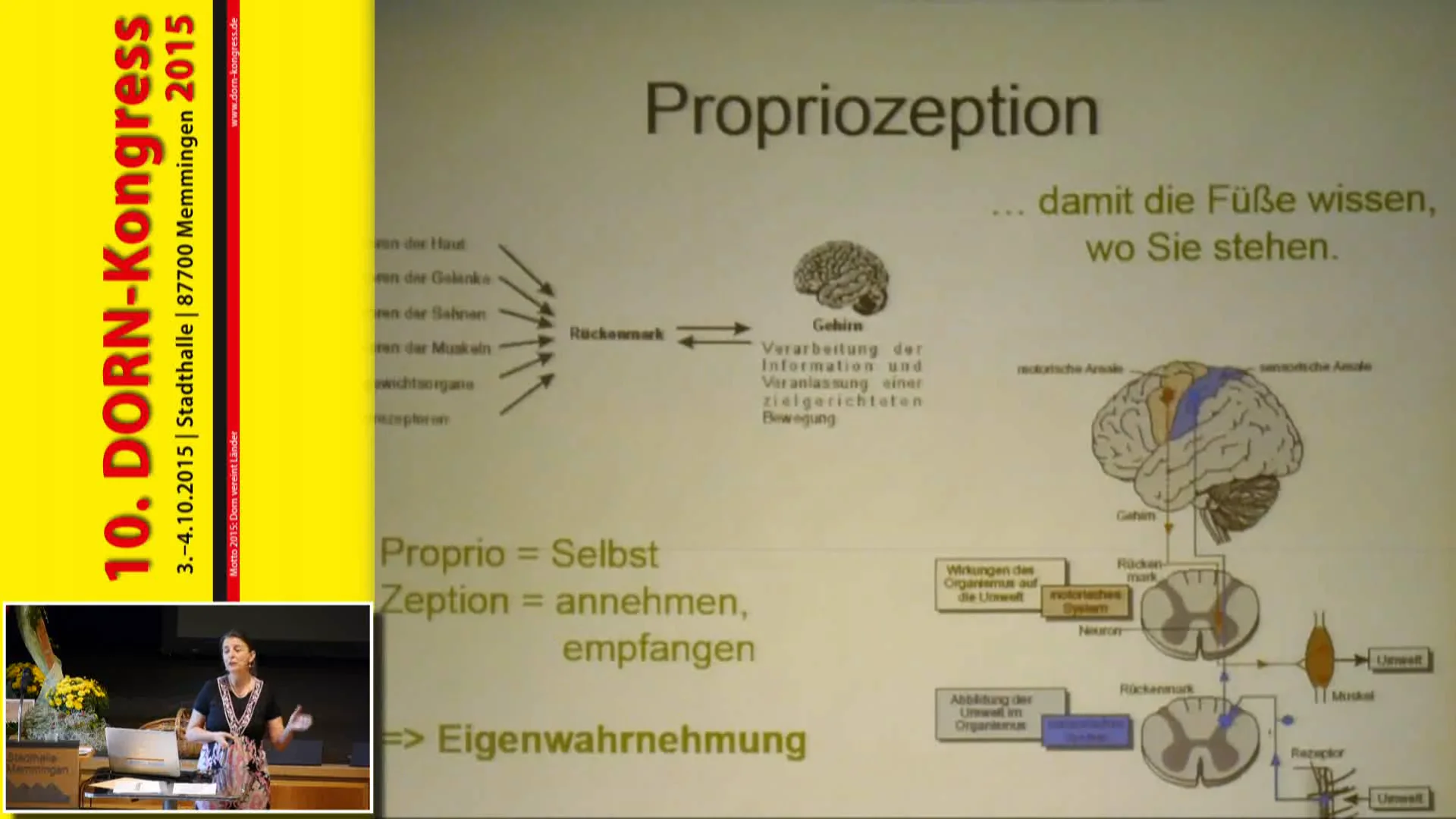 Gesundheitsinformationen - Doris Böhm: DORN bei Hallux und ...