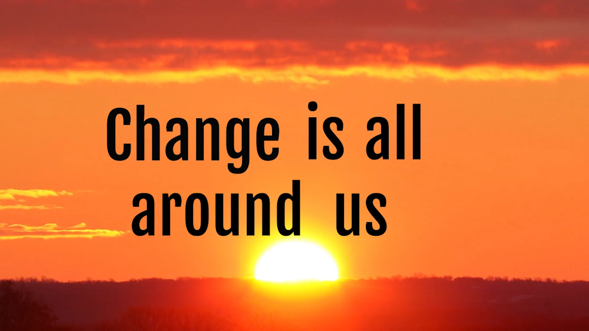 Talk-About Video 8: Reflections on Change