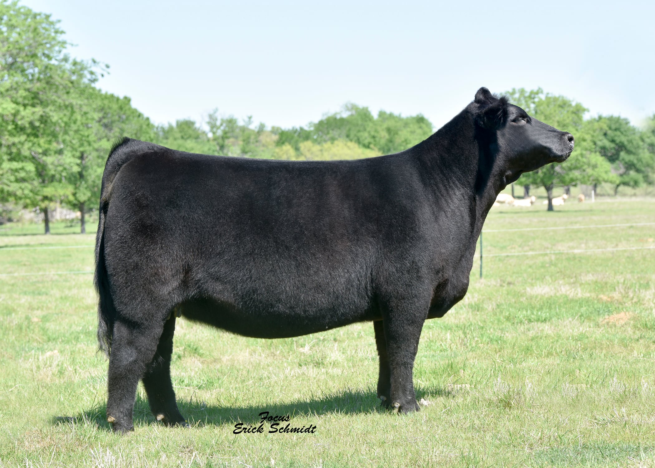 2016 Sullivan Ranch Donor Kate on Vimeo