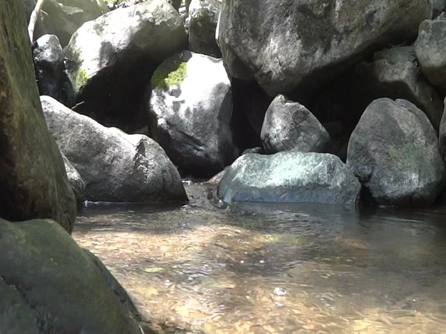 Creek Videos: Download 419+ Free 4K & HD Stock Footage Clips - Pixabay