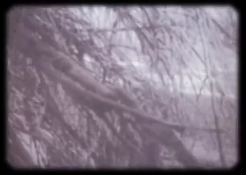 The Bitterroot Footage on Vimeo