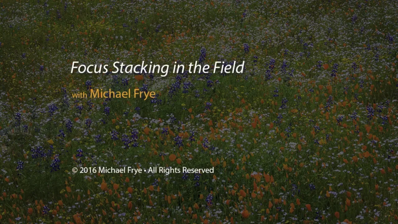 Focus Stacking in the Field on Vimeo