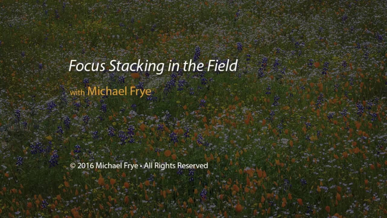 Focus Stacking in the Field on Vimeo