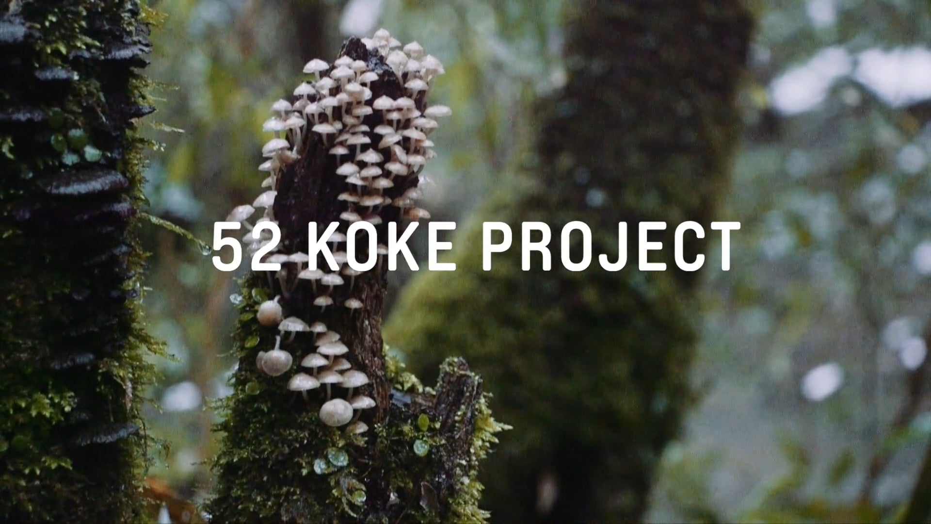 Aquarium × 52 KOKE PROJECT Movie on Vimeo