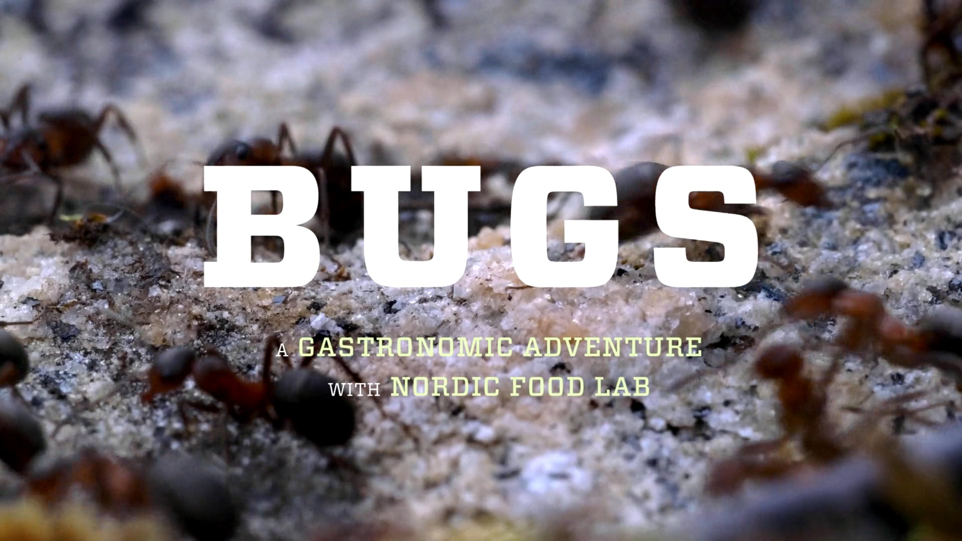BUGS official trailer 2016 on Vimeo