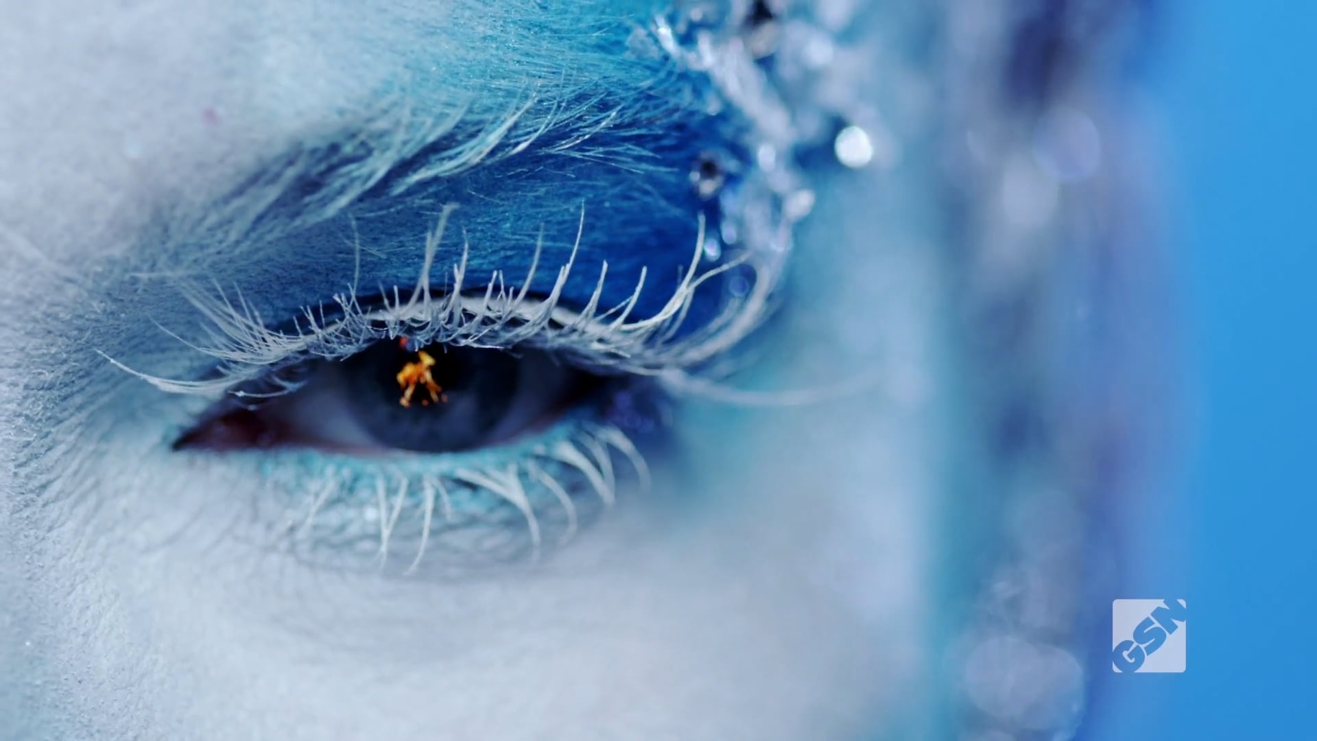 Skin Wars - GSN on Vimeo