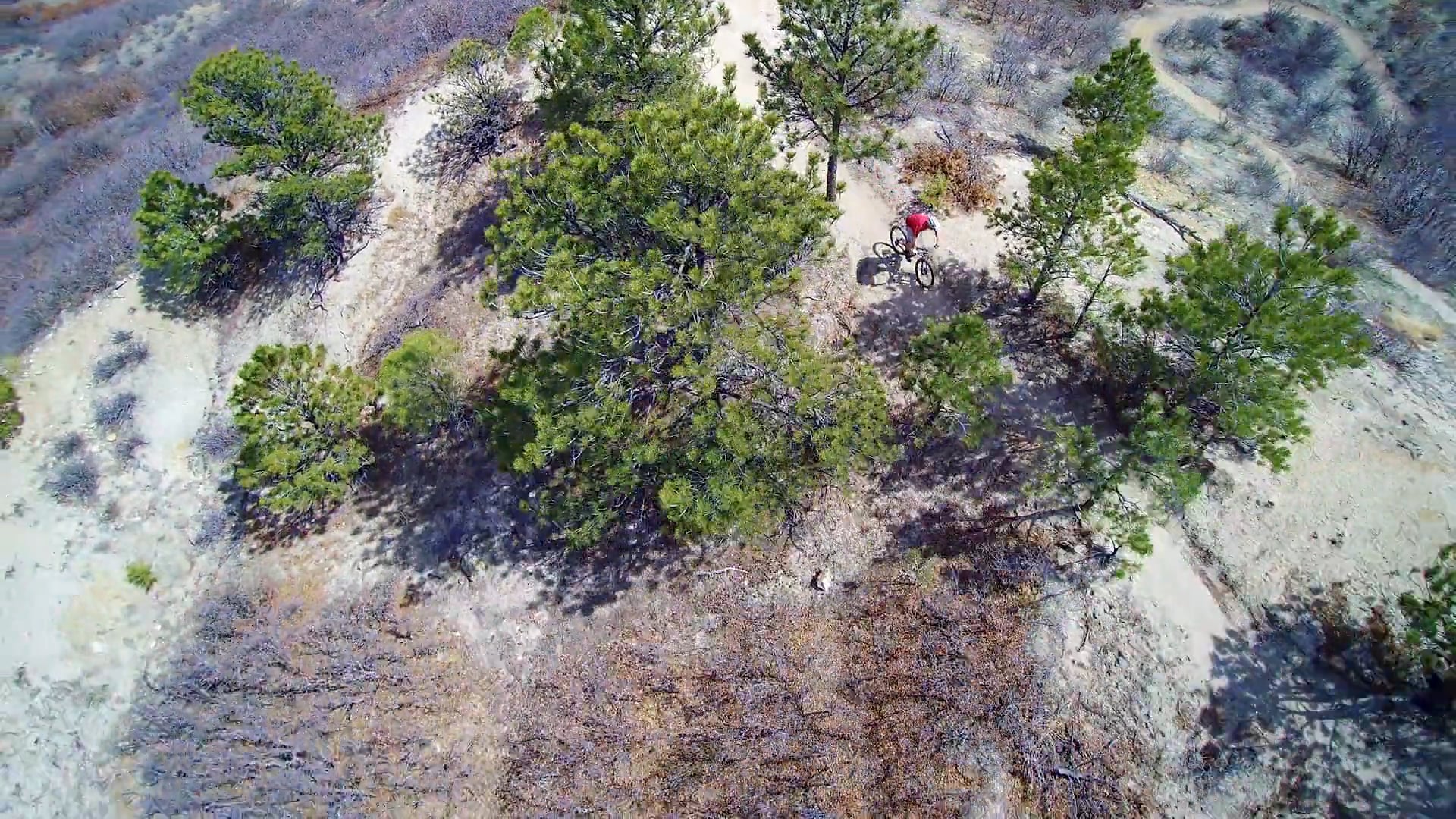 The Miller Activity Complex on Vimeo