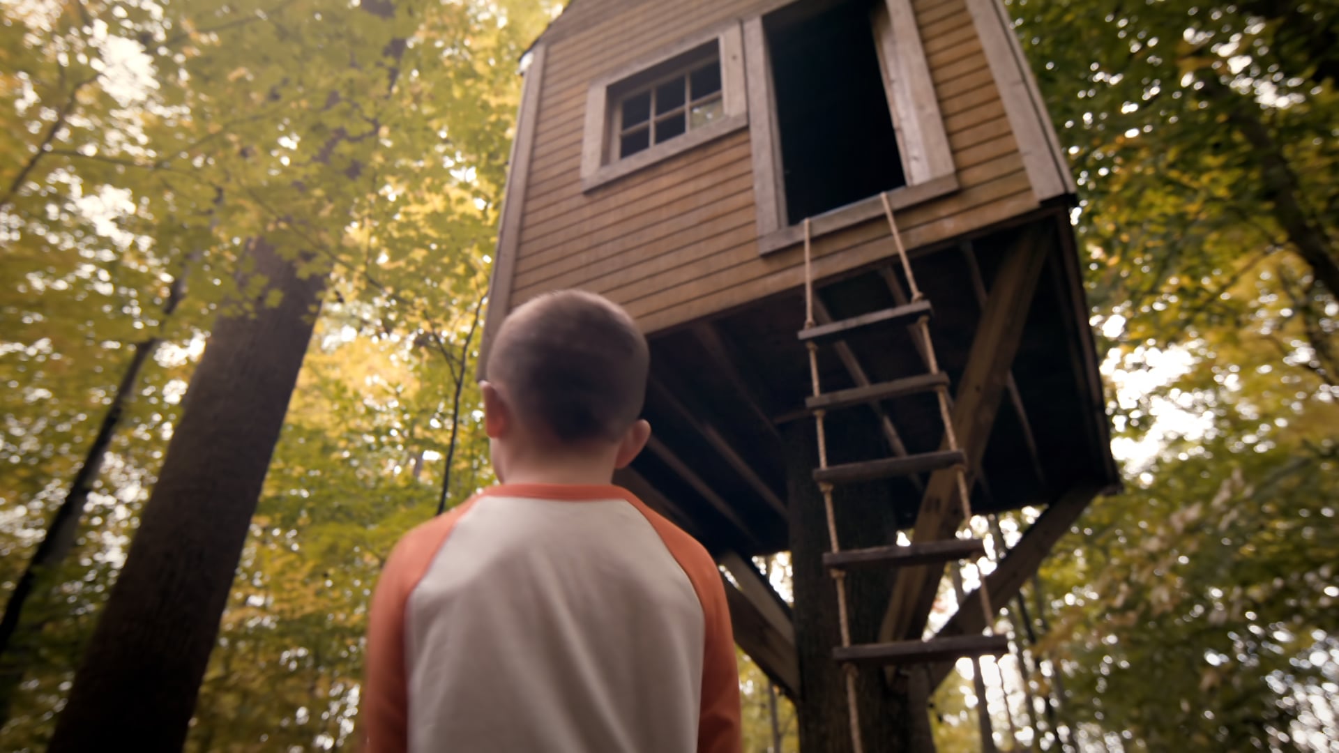 "Treehouse" - T-Rex Tape on Vimeo