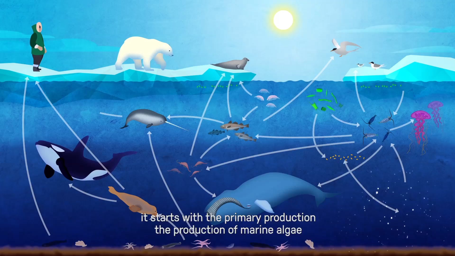 Marine Arctic Ecosystems on Vimeo