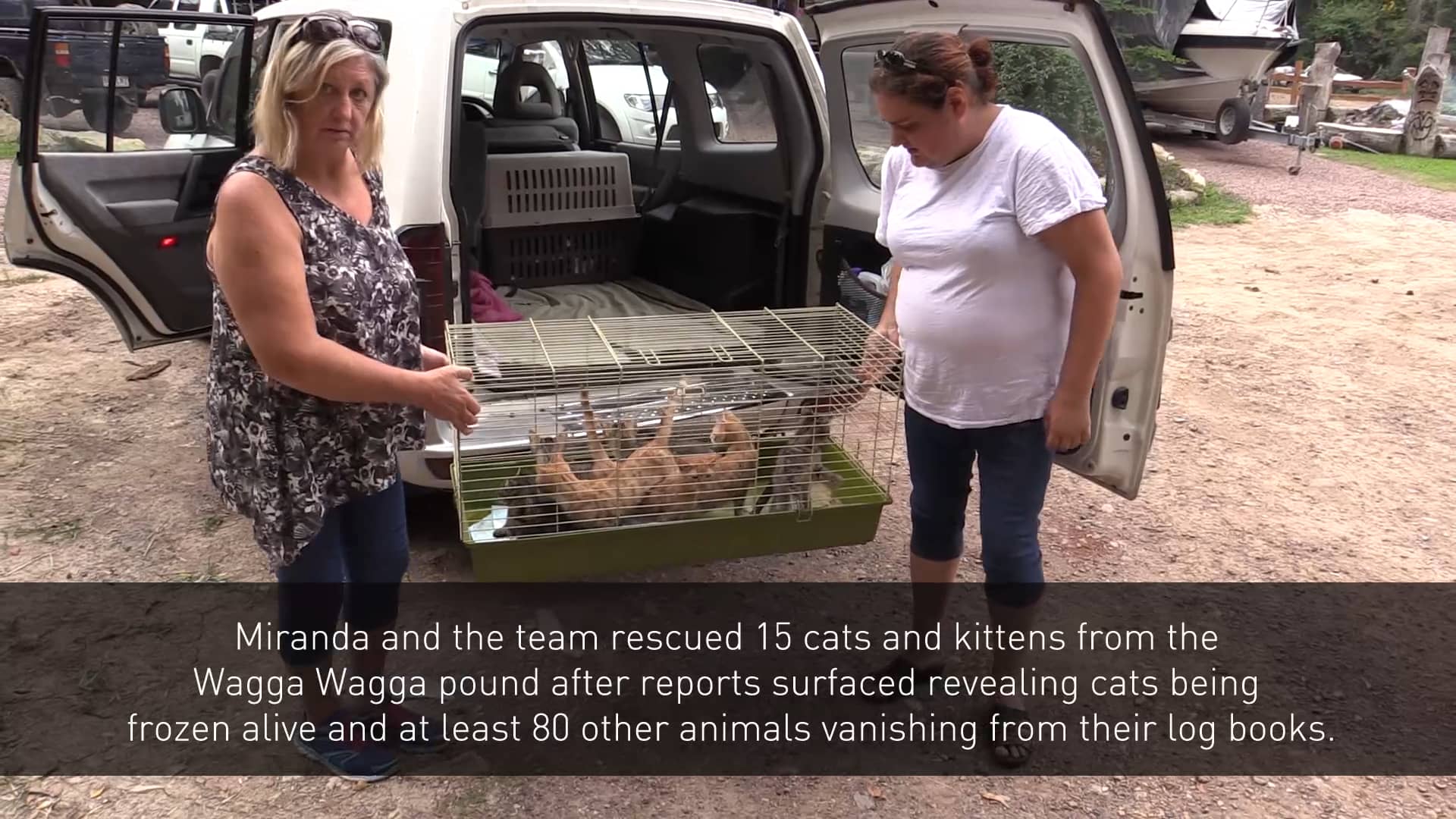 Soquilichi Rescue Ranch Wagga Wagga Cats on Vimeo