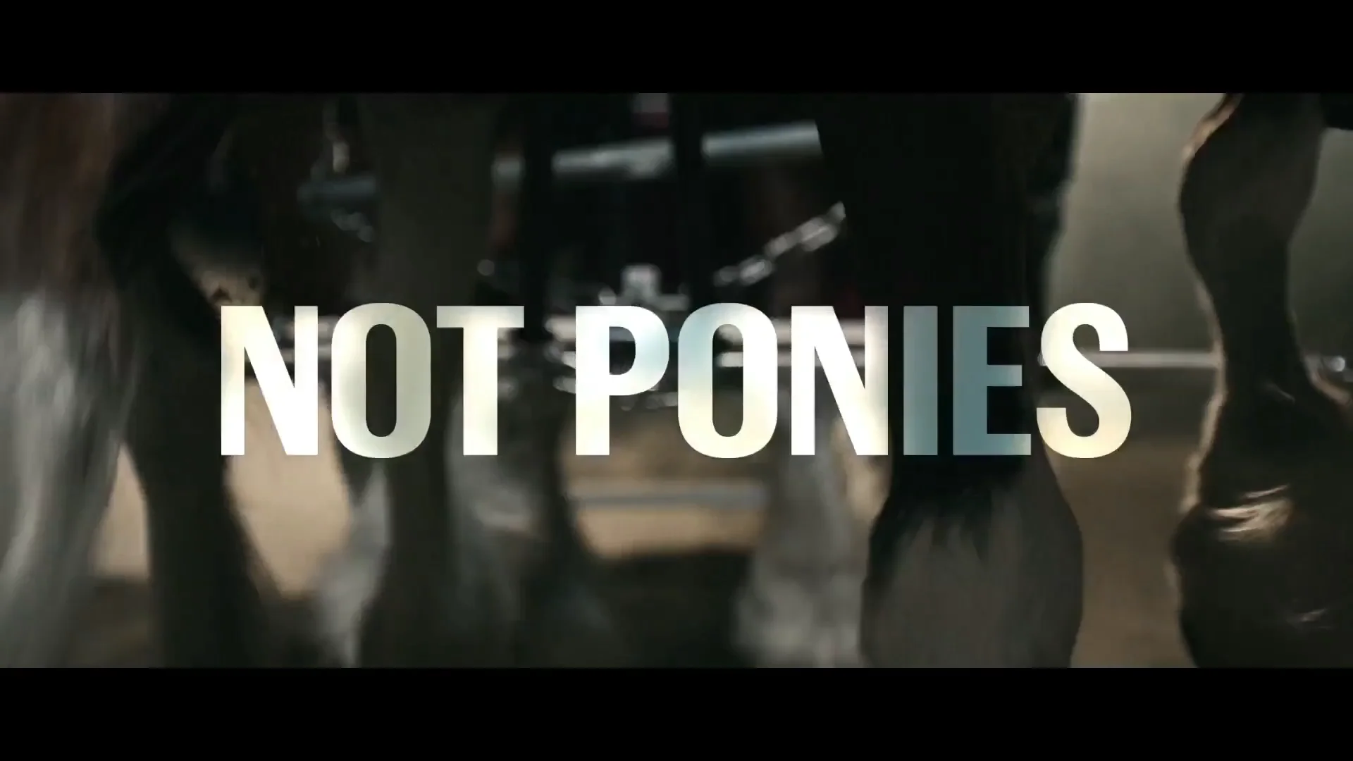 Budweiser - Not Backing Down on Vimeo