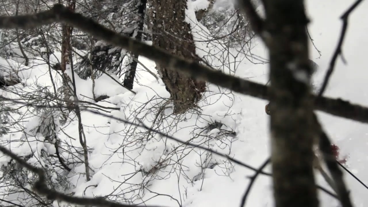 Matt Testa, Alex Haughton- UVM Homegrown 2016 on Vimeo