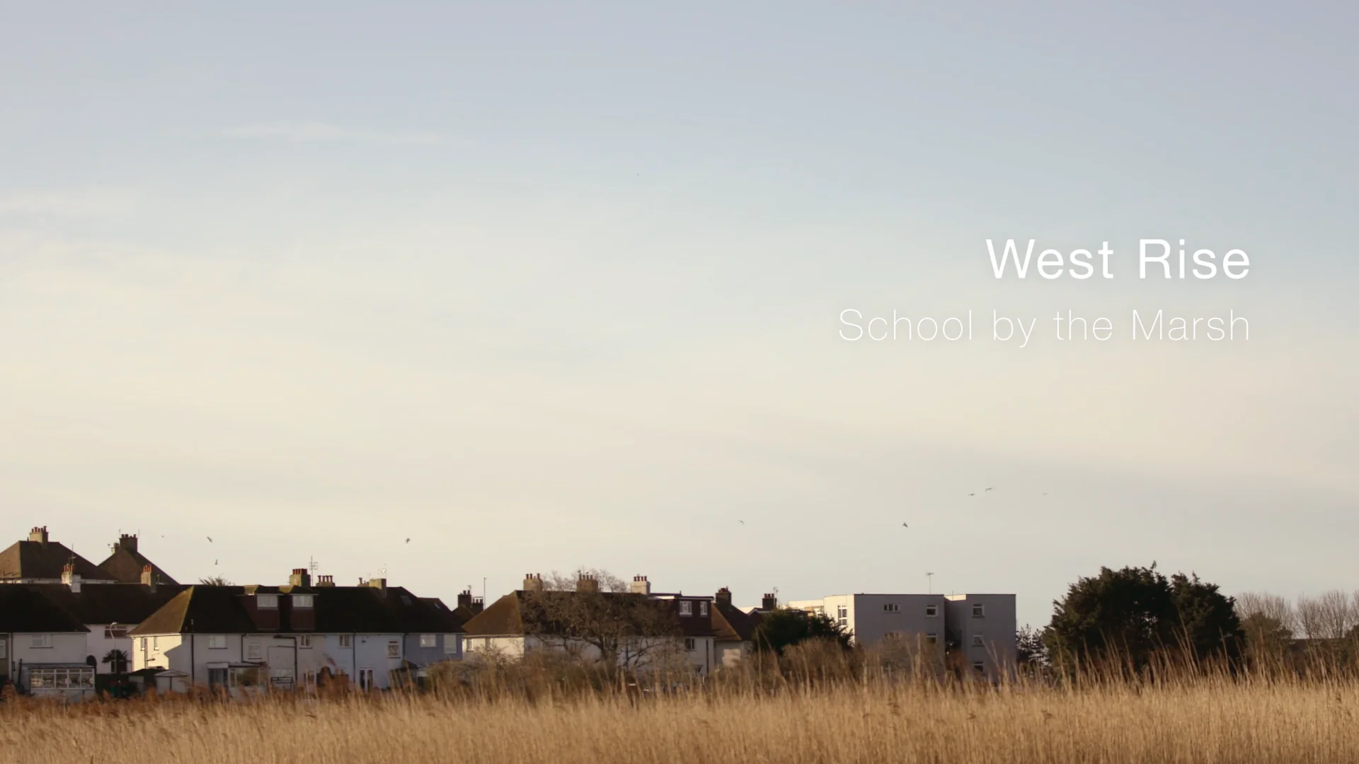 West Rise School by the Marsh Documentary