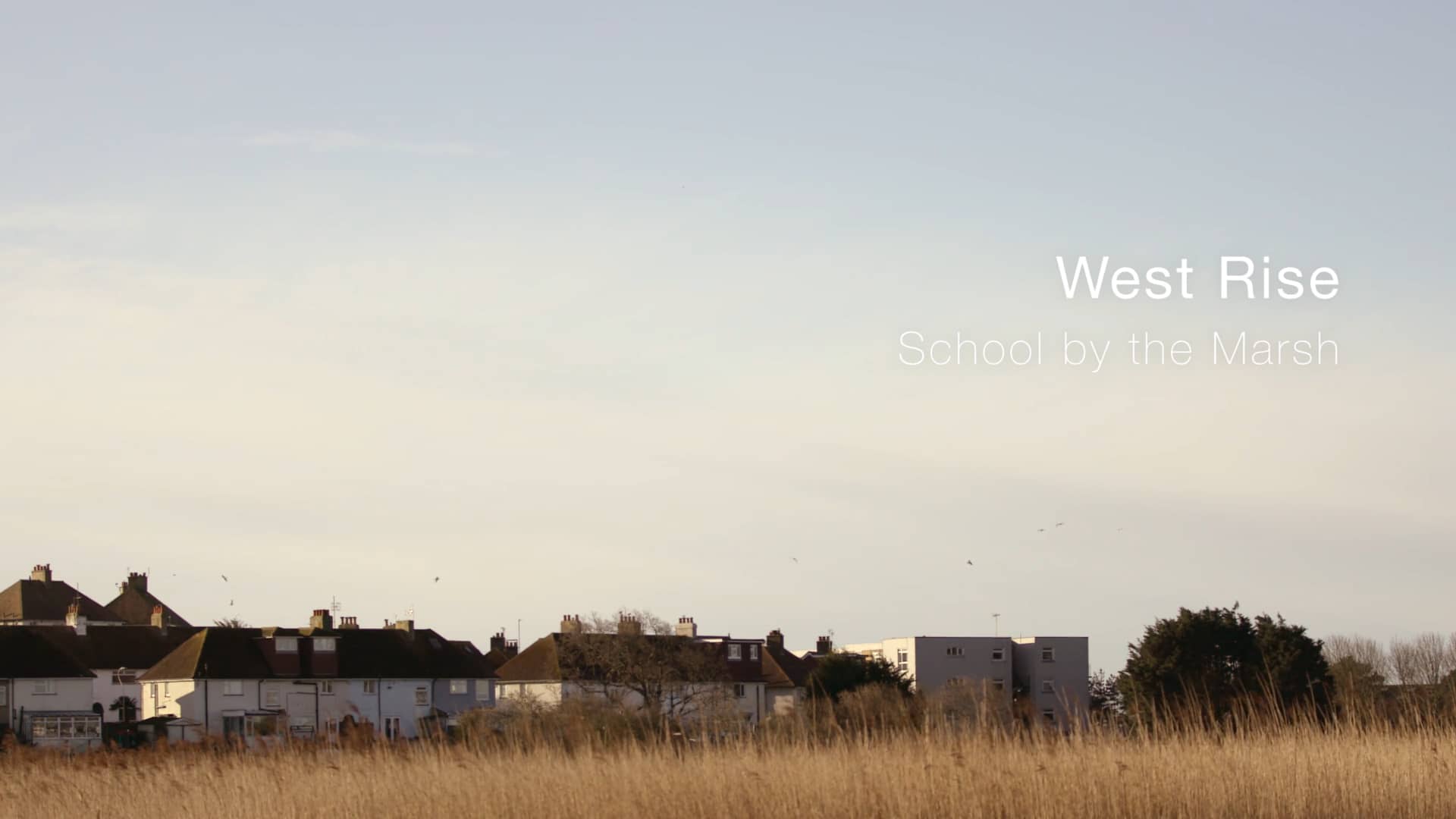 West Rise School by the Marsh Documentary on Vimeo