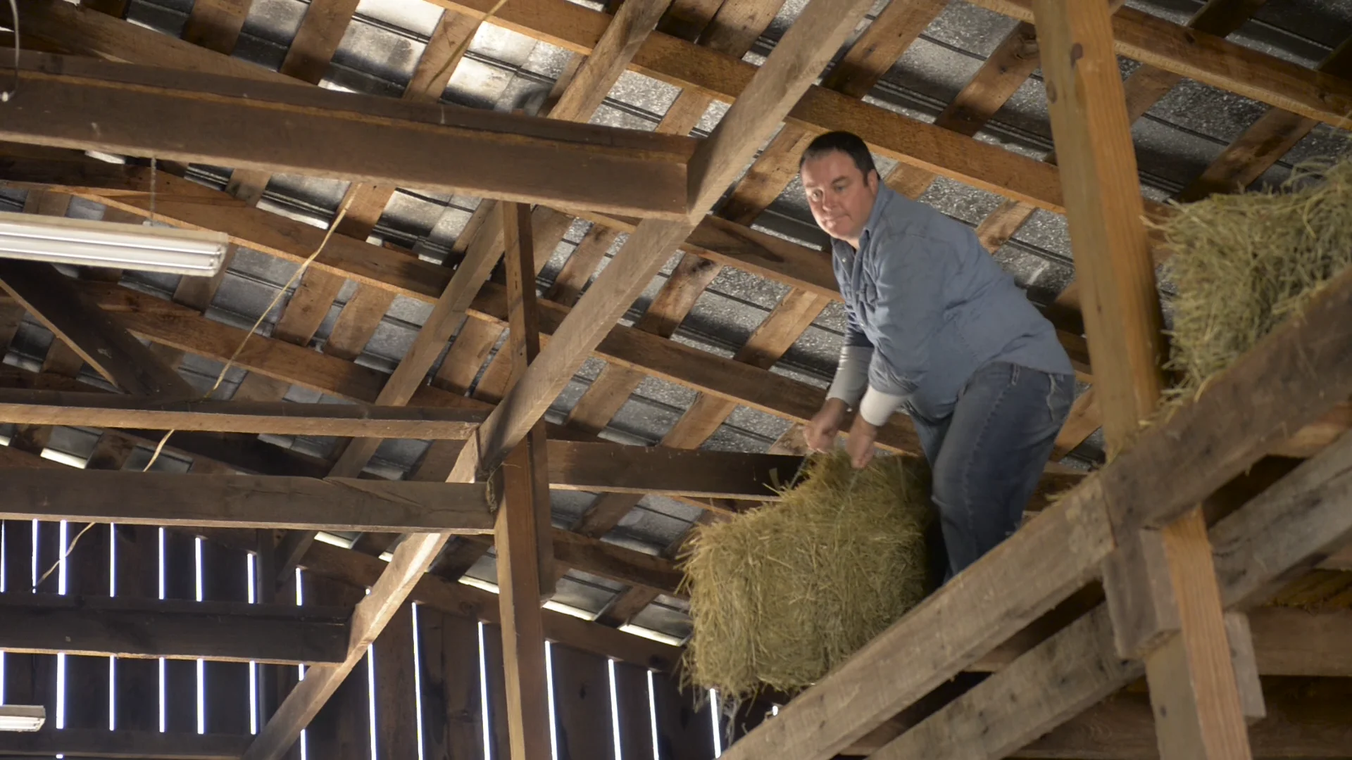 Prim for Senate (Final)