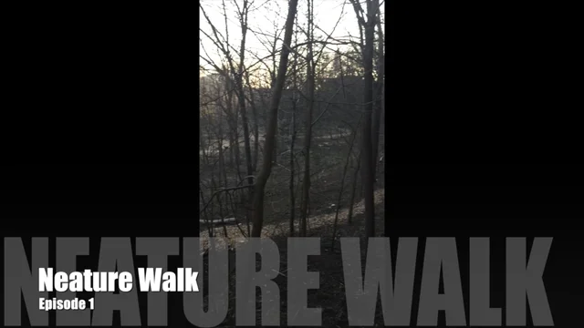Neature Walk - Episode 1 on Vimeo