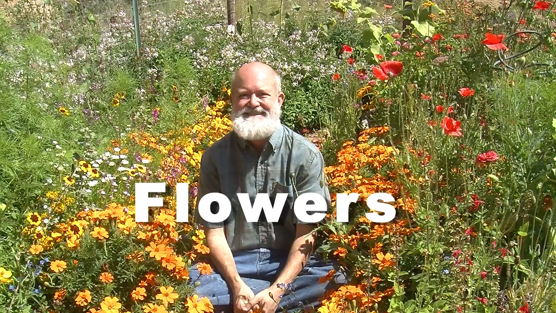 Flowers on Vimeo