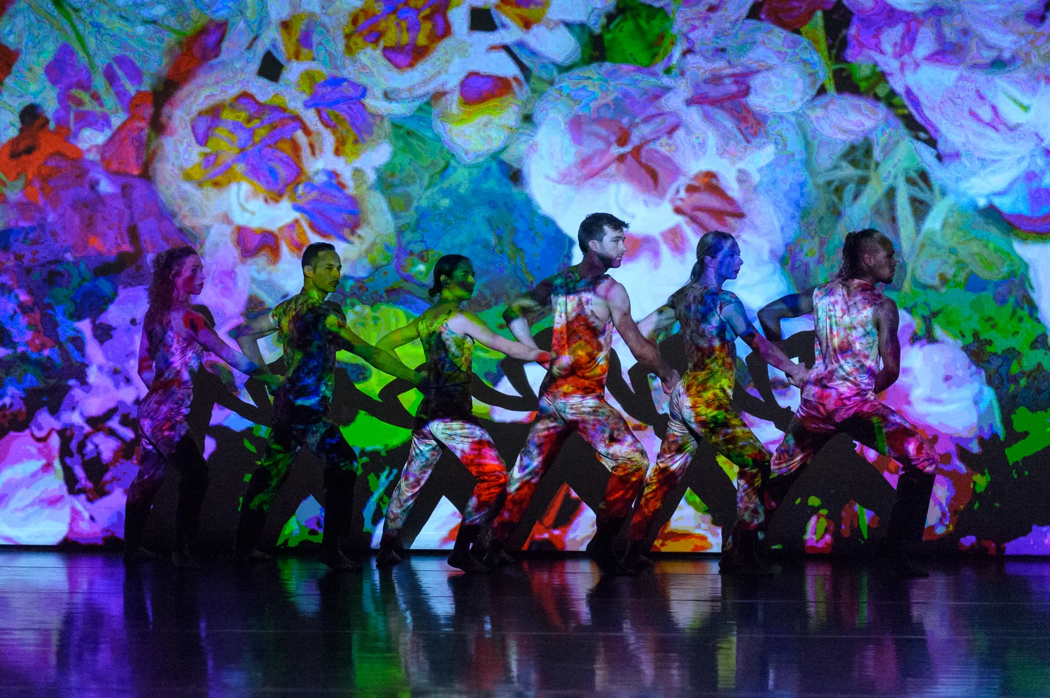 Star Mark - excerpts / Kotze / 2016 on Vimeo