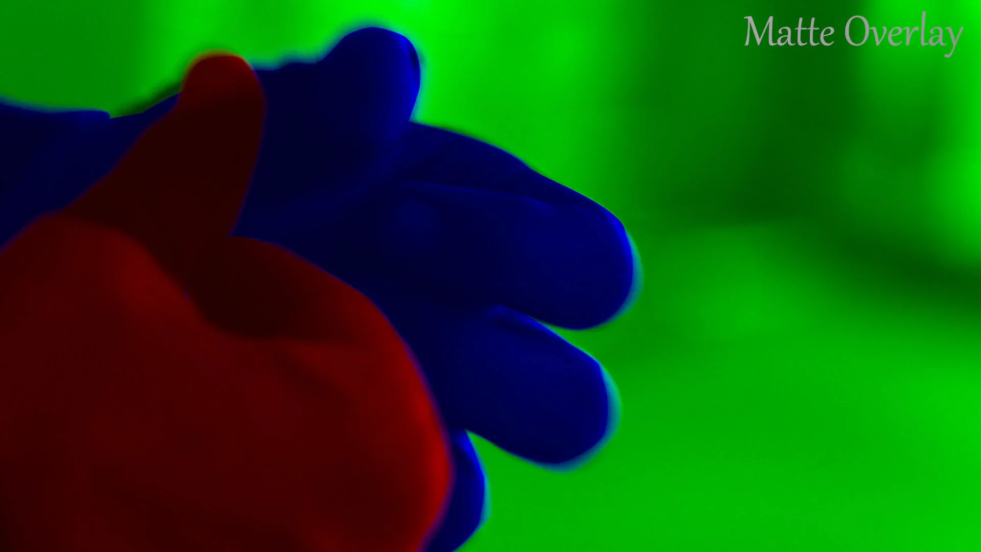 Tasha Carlson Roto Reel on Vimeo