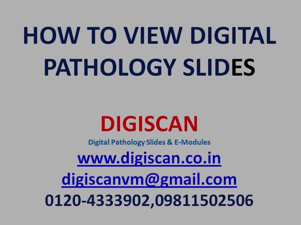 How to View Digital Pathology Slides on Vimeo