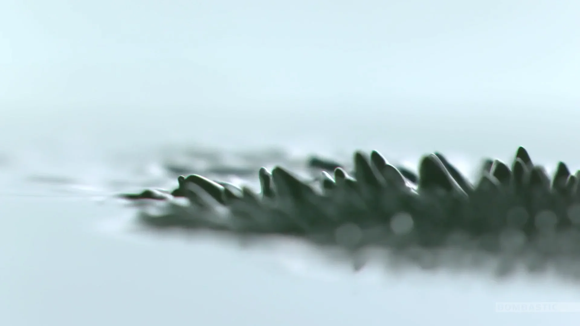 Palladia Channel IDs