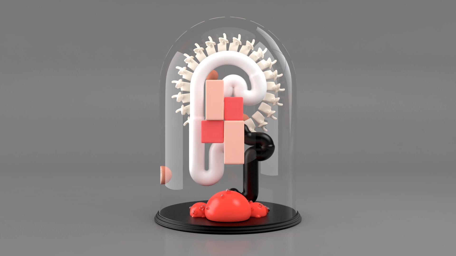 MASH/Curve Warp - Specimen on Vimeo