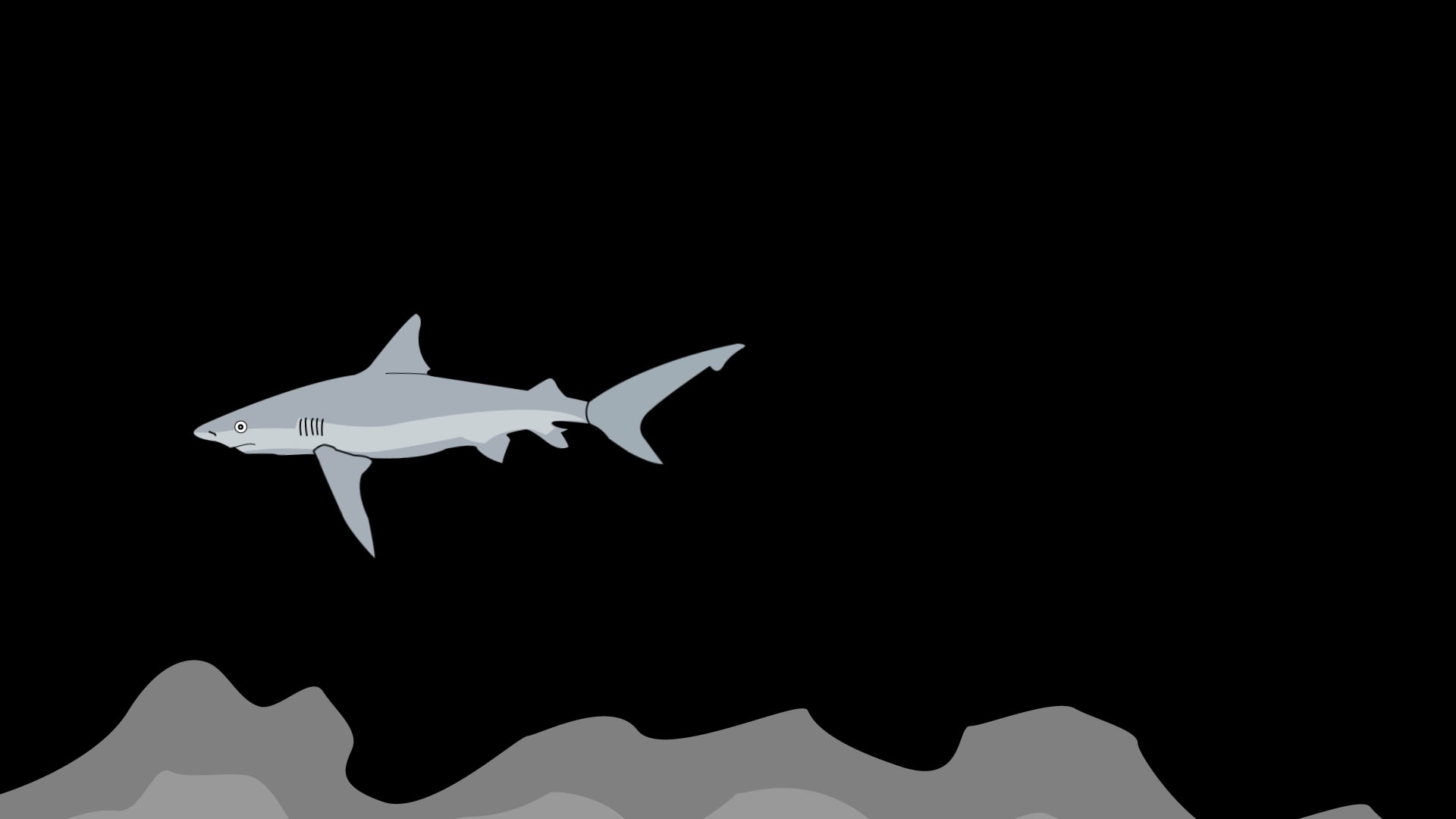 Shark_ Comp on Vimeo